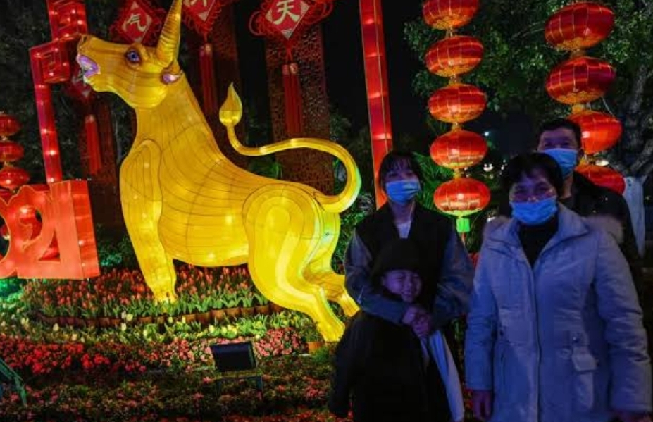 Calendário chinês: começa o Ano do Boi - PORTAL FEDERAL